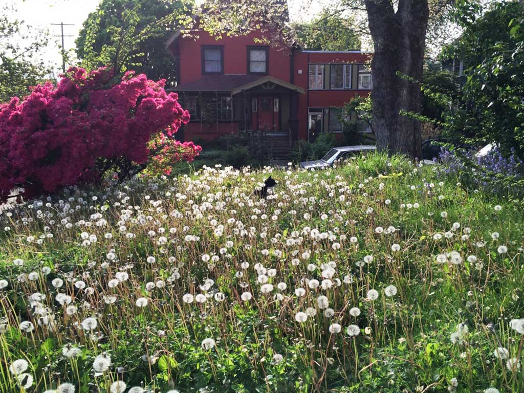 Finding Inspiration | Tom Hallman Jr.